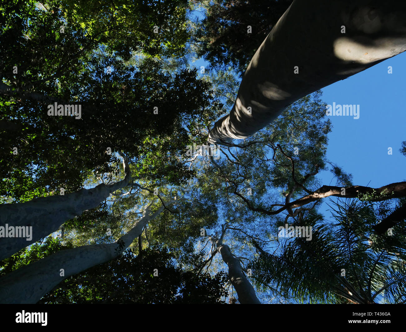 Wanneroo Botanical Garden has a mixture of native and imported garden ...