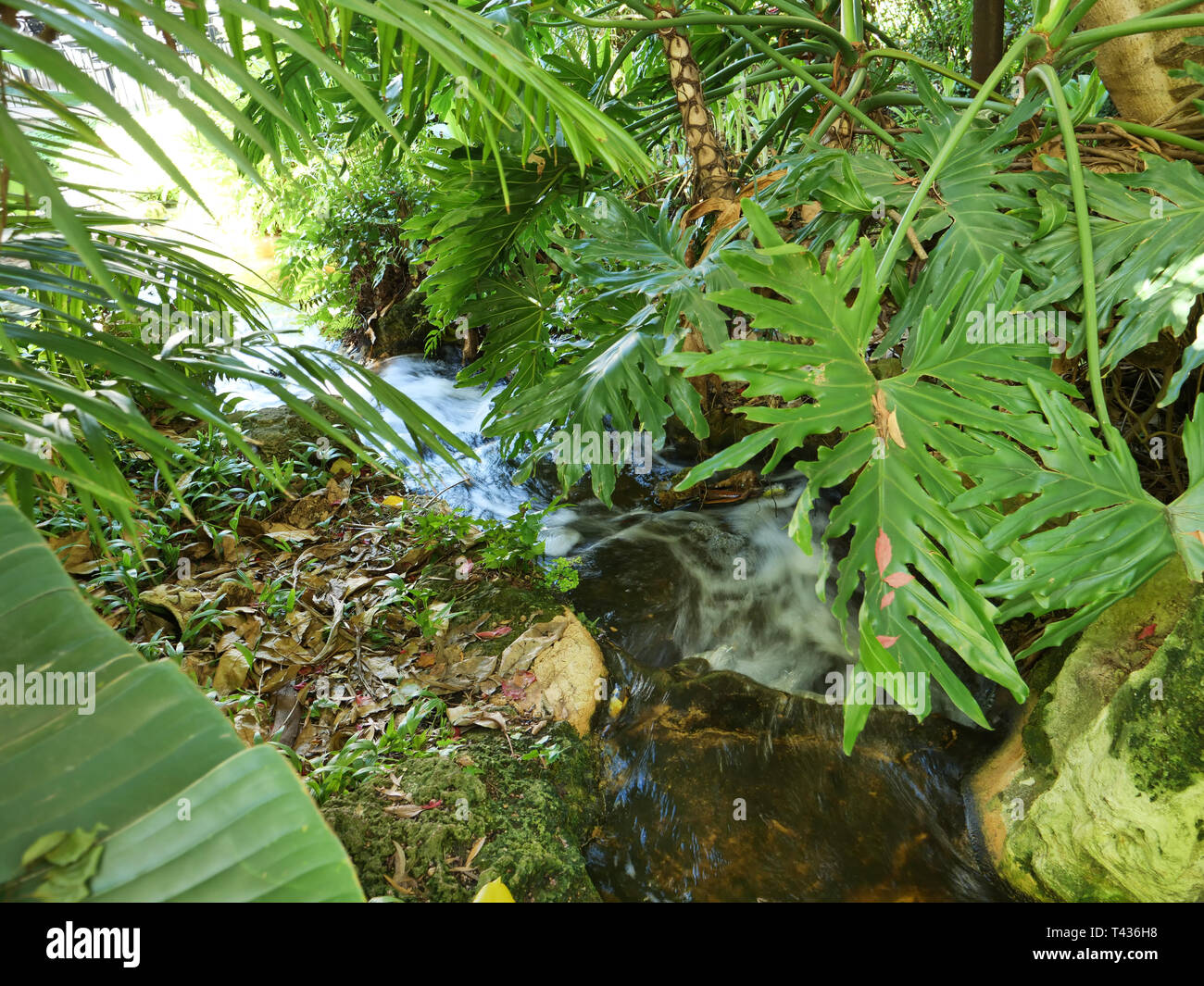 Wanneroo Botanical Garden has a mixture of native and imported garden ...