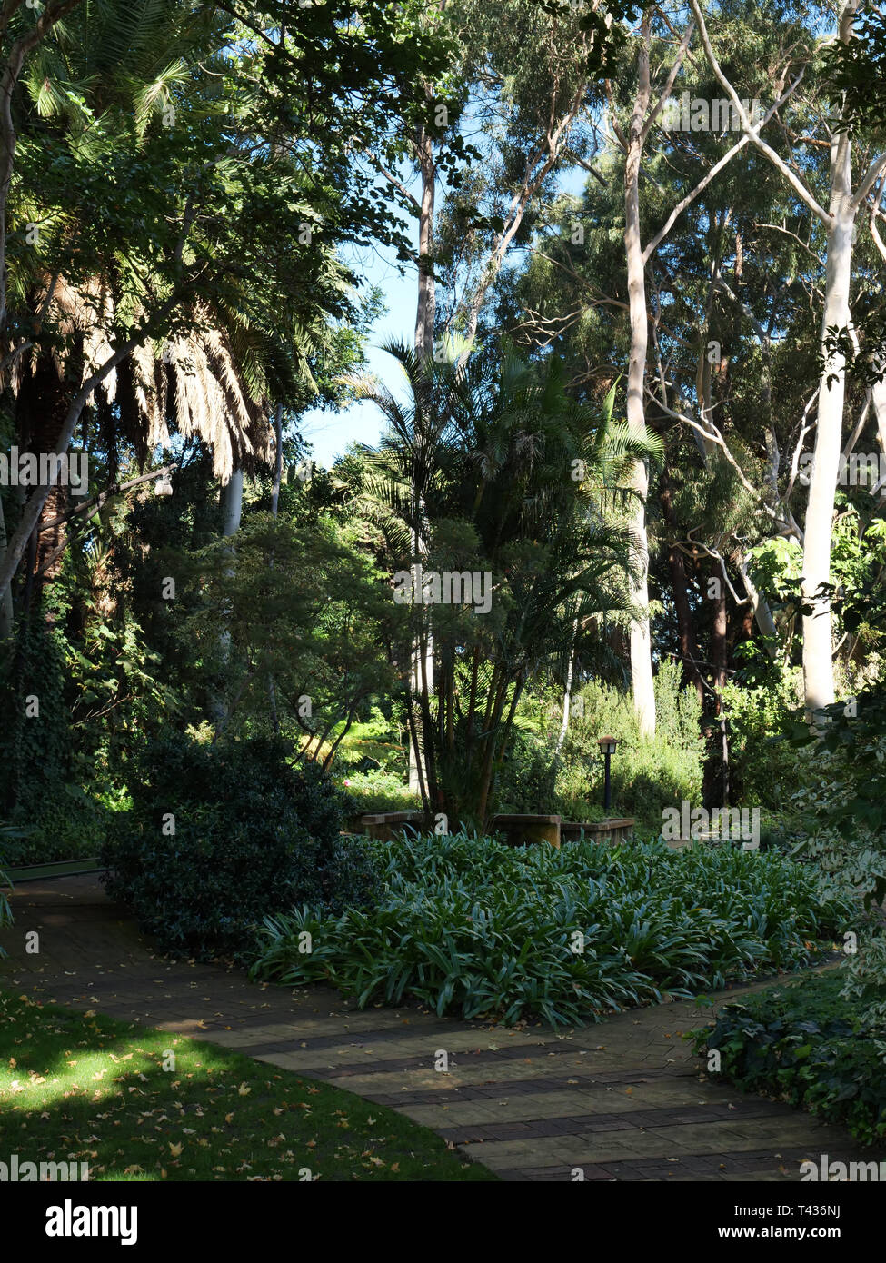 Wanneroo botanical garden hi-res stock photography and images - Alamy