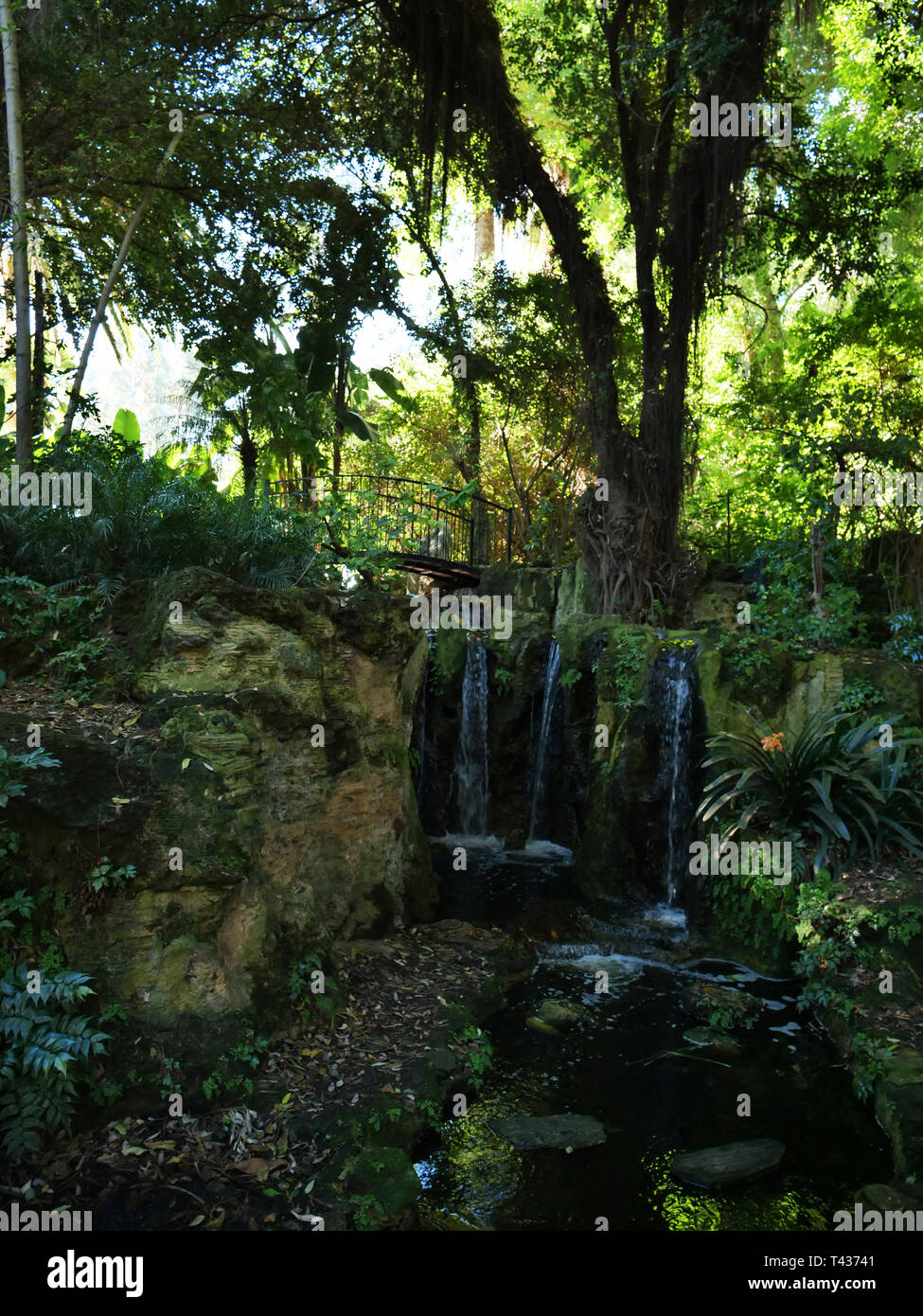 Wanneroo botanical garden hi-res stock photography and images - Alamy