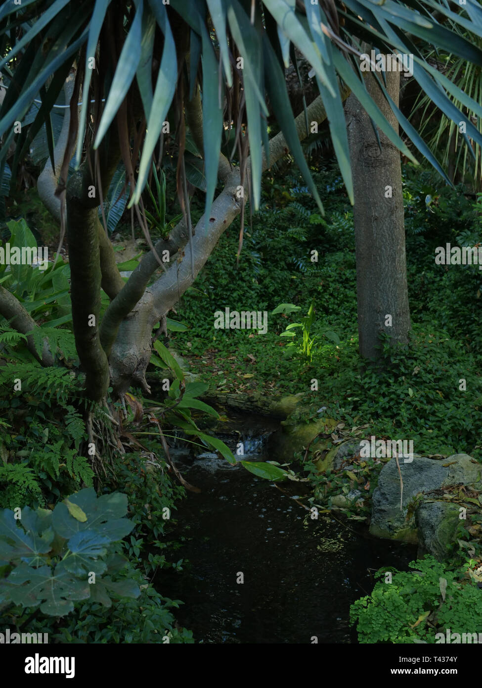 Wanneroo Botanical Garden has a mixture of native and imported garden ...