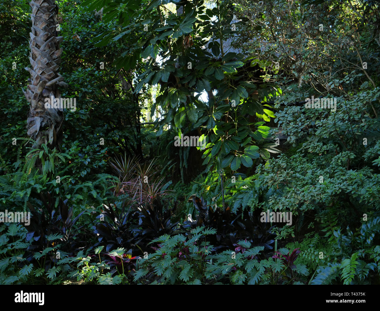 Perth parks in autumn hi-res stock photography and images - Alamy