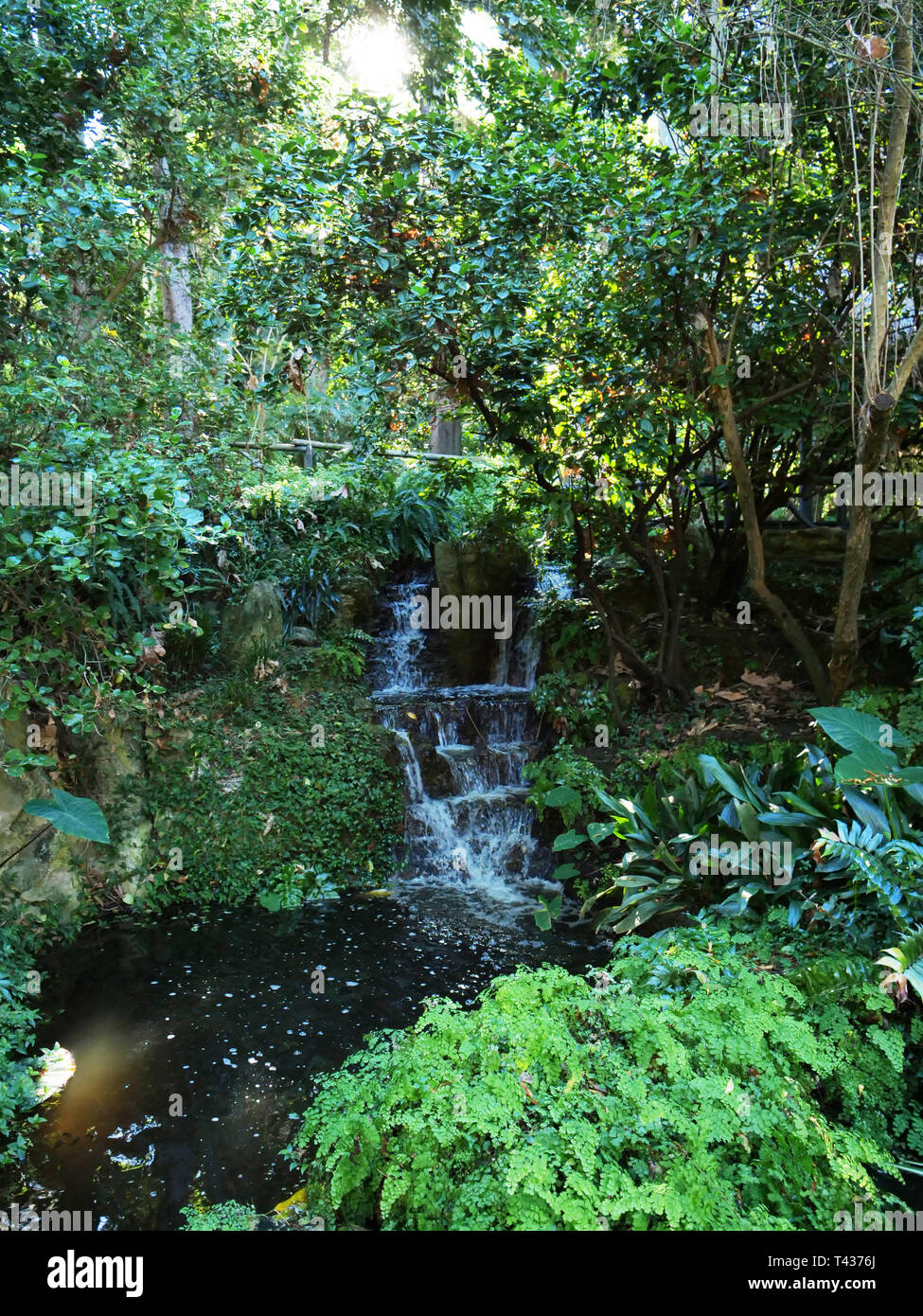 Perth parks in autumn hi-res stock photography and images - Alamy