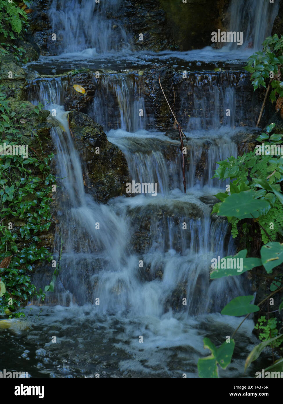 Wanneroo botanical garden hi-res stock photography and images - Alamy