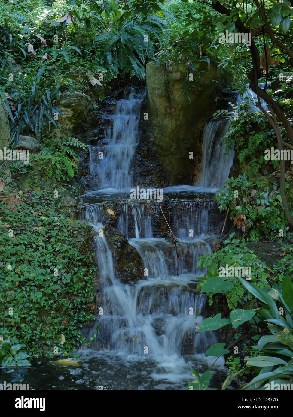 Wanneroo botanical garden hi-res stock photography and images - Alamy