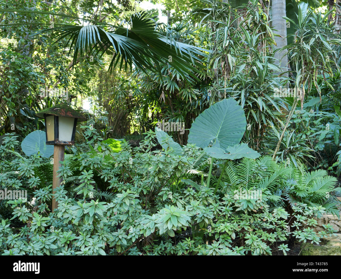 Perth parks in autumn hi-res stock photography and images - Alamy