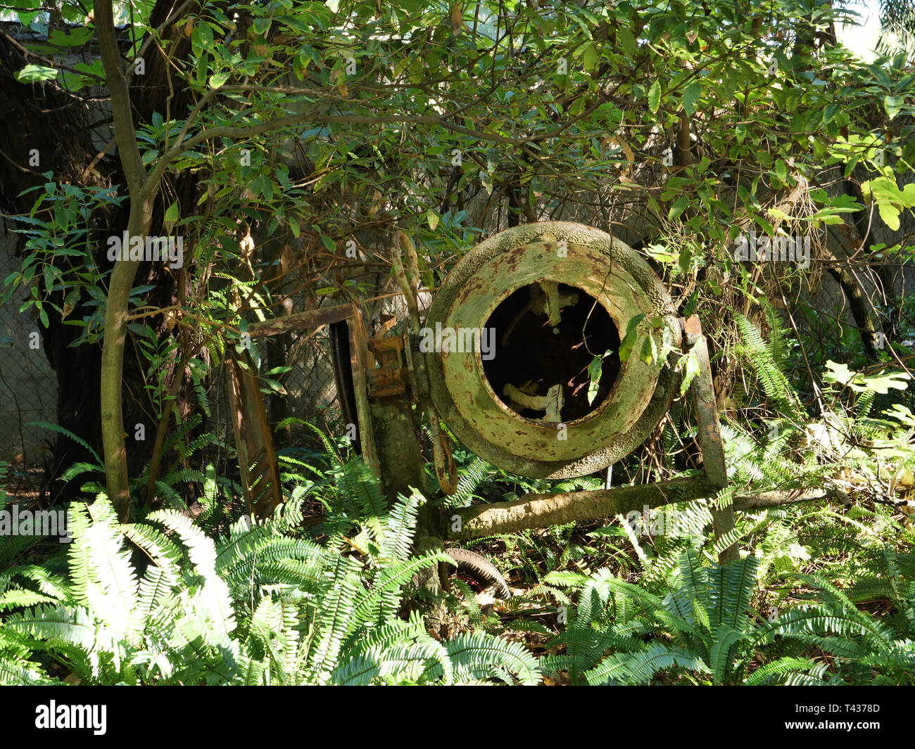 Perth parks in autumn hi-res stock photography and images - Alamy