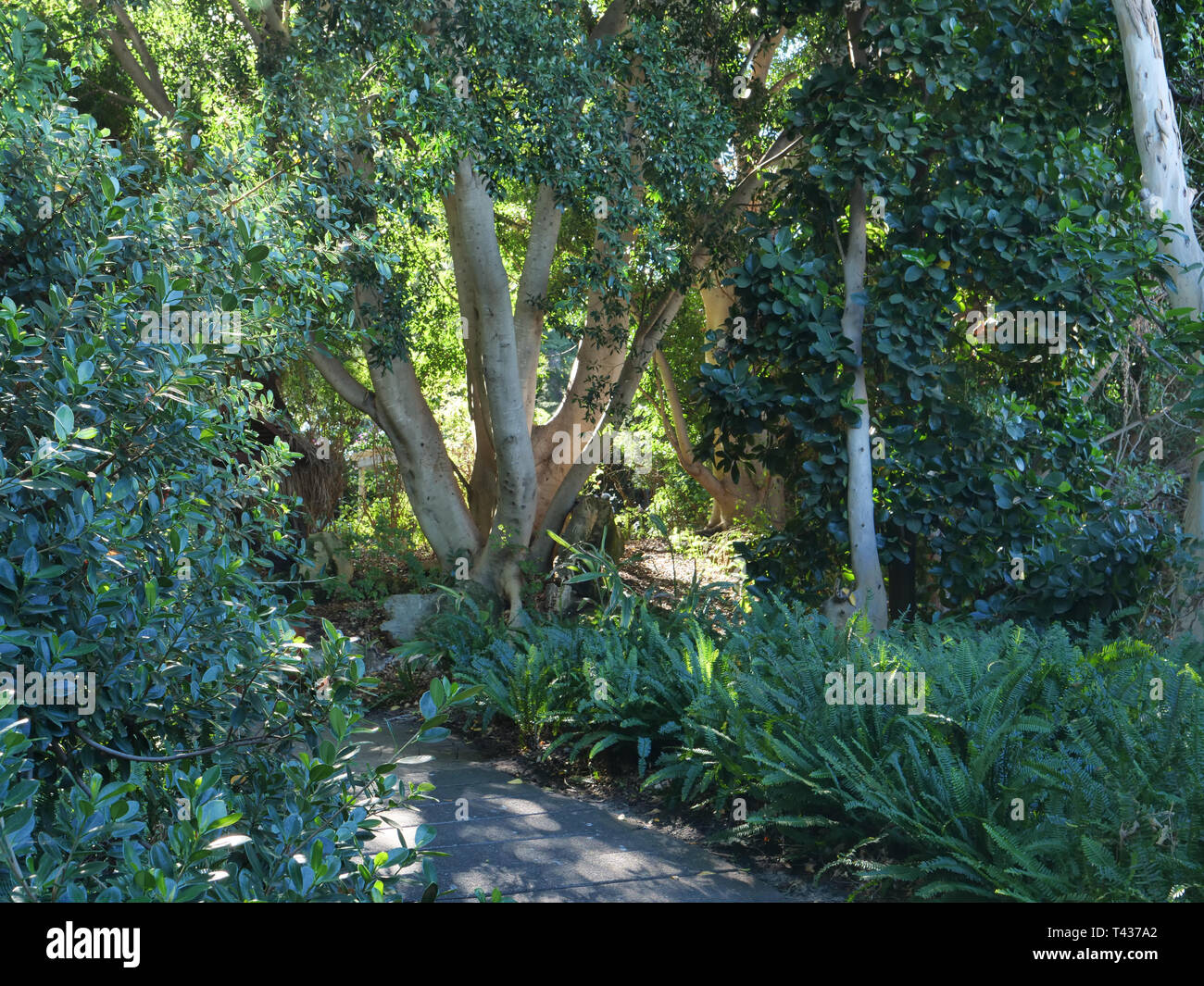 Perth parks in autumn hi-res stock photography and images - Alamy