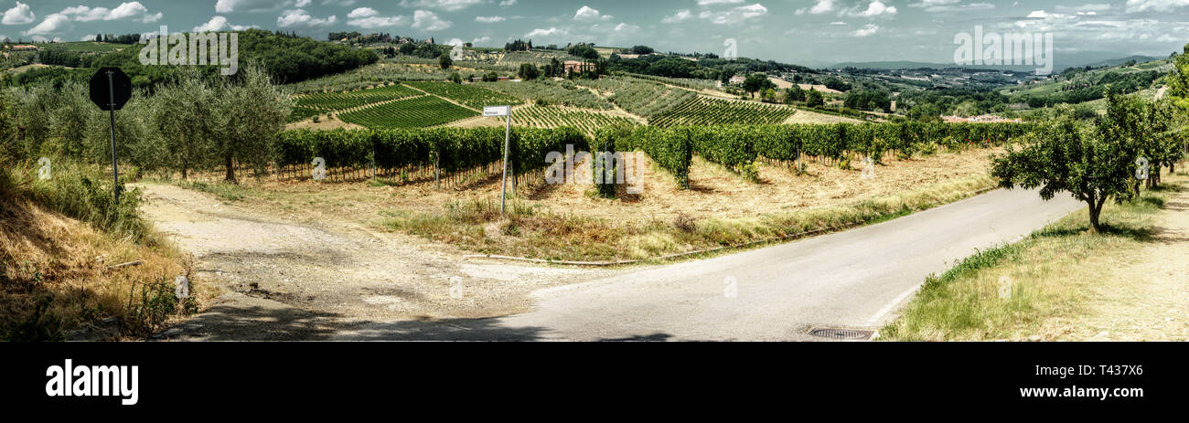 Vineyard in Montespertoli, Tuscan region of Florence Stock Photo - Alamy