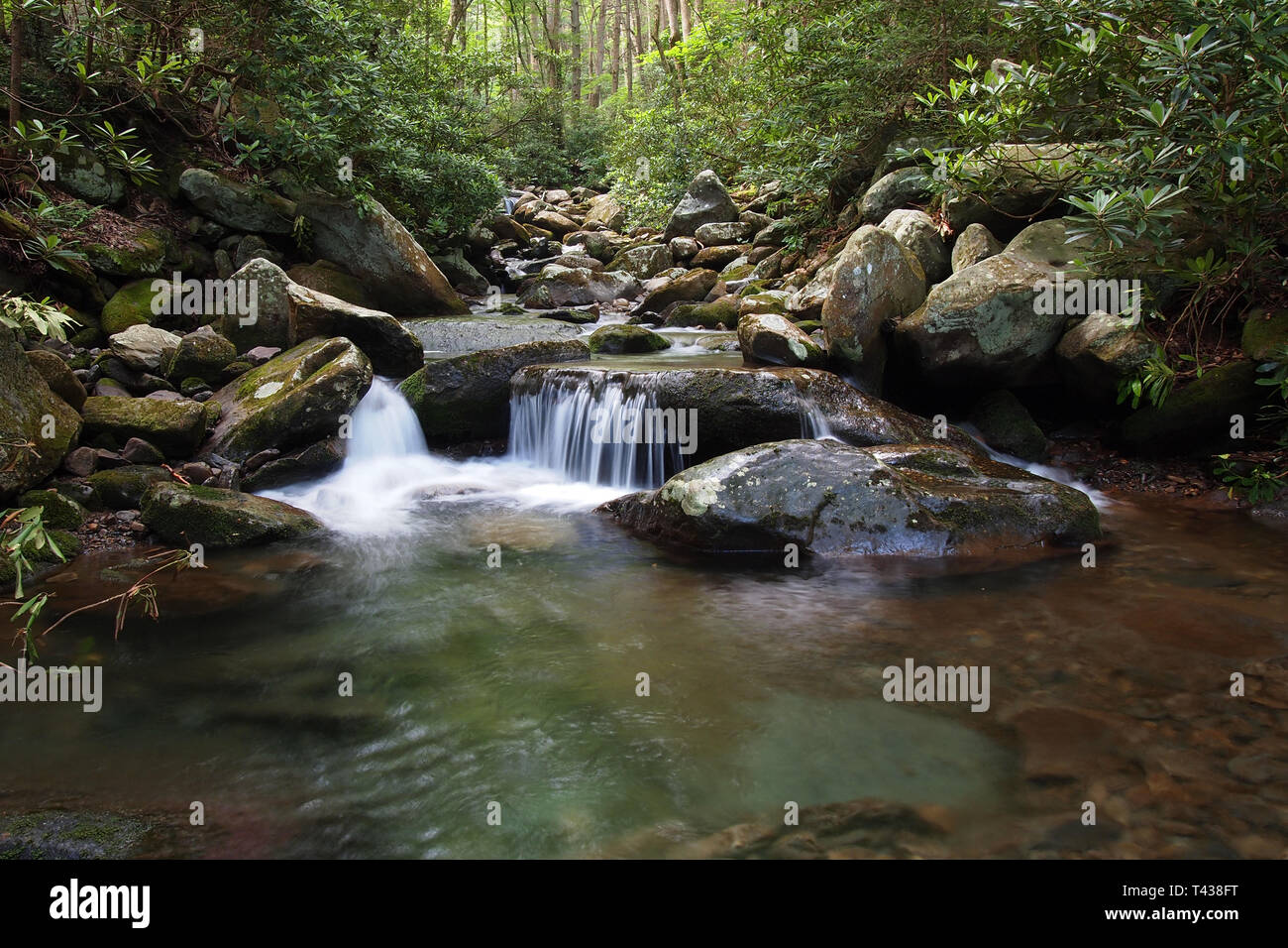 Trailside hi-res stock photography and images - Alamy