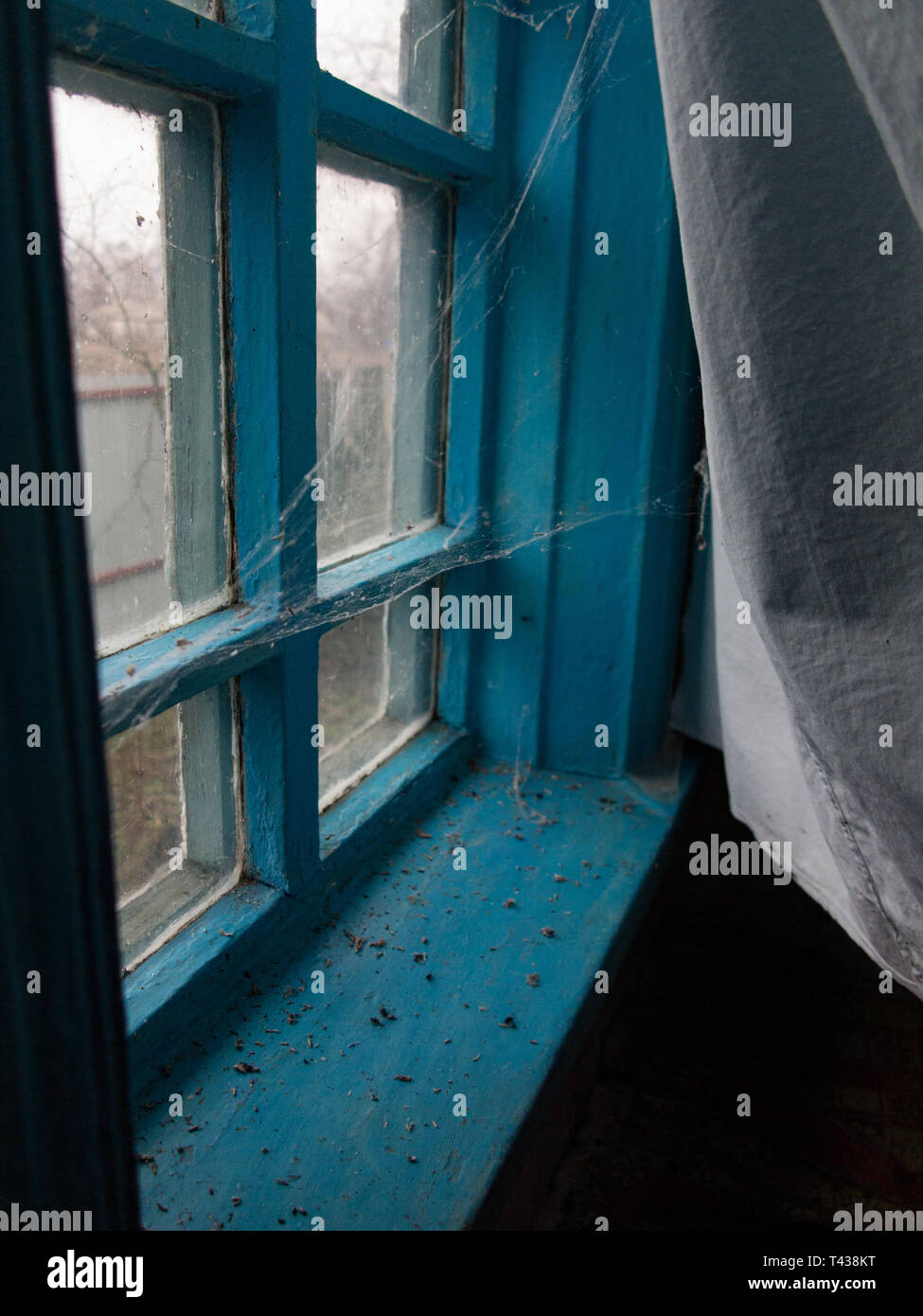 Ukrainian village house interior (old window frame with spider web ...