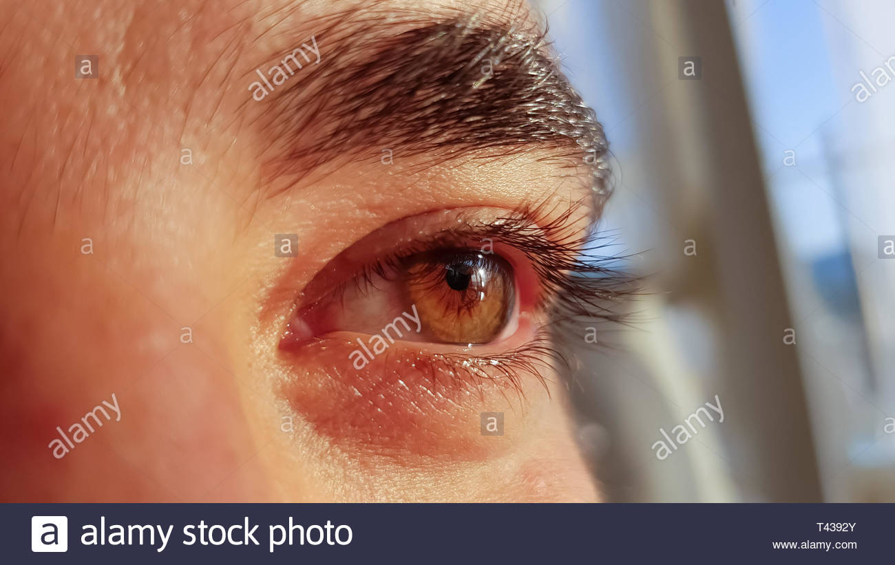 Close Up Left Eye Stock Photos & Close Up Left Eye Stock Images - Alamy