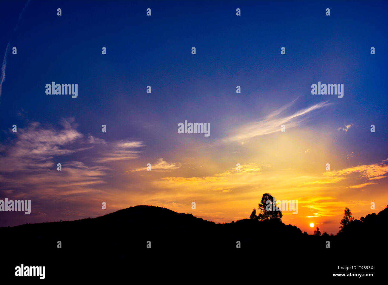 Environment india hi-res stock photography and images - Alamy