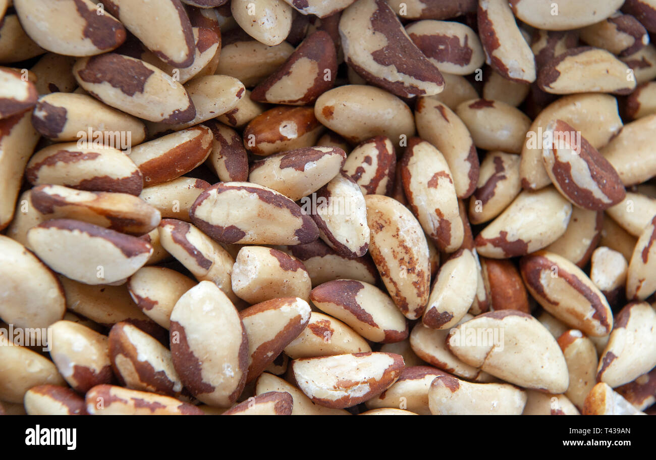 Para Brazilian Nuts background Stock Photo - Alamy