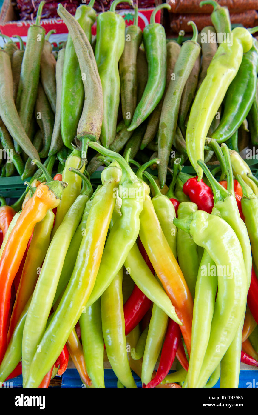 Colorful chilli peppers on market stand Stock Photo - Alamy