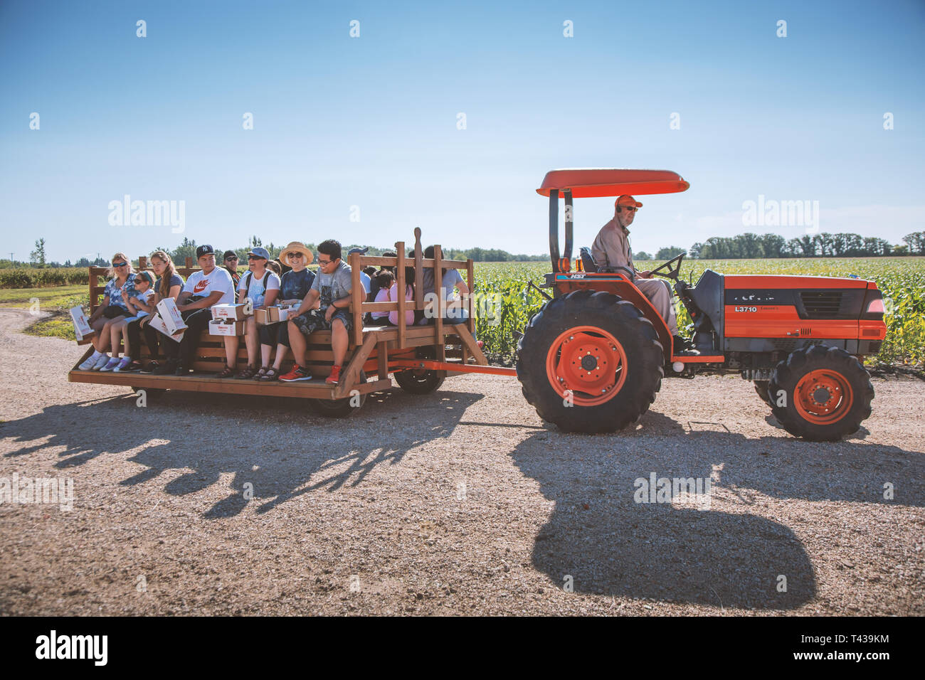 Farmer Riding Tractor