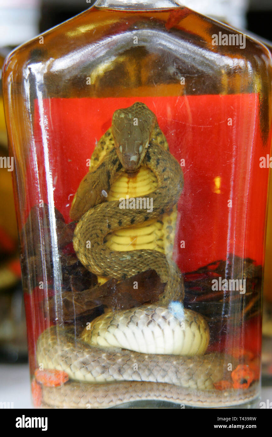 Forbidden souvenir from Laos Snake Whiskey, Snakes in whiskey bottles ...