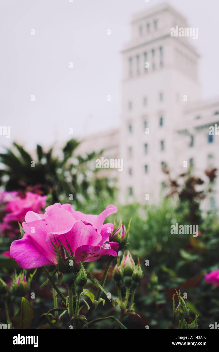 Abstract spring landscape in the city of Barcelona Stock Photo - Alamy