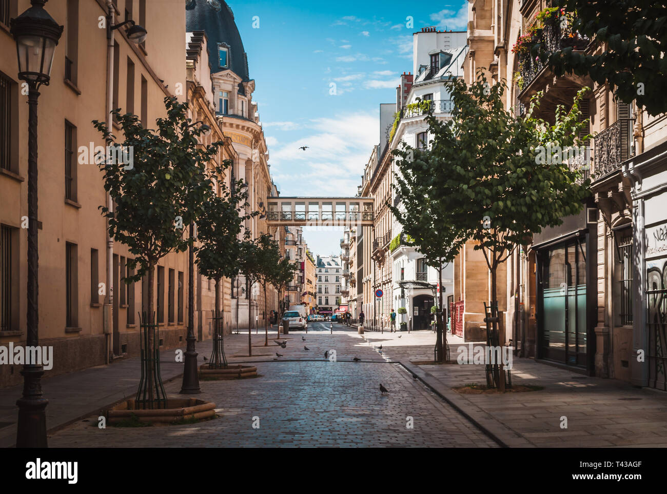 Street of Paris cityscape Stock Photo - Alamy