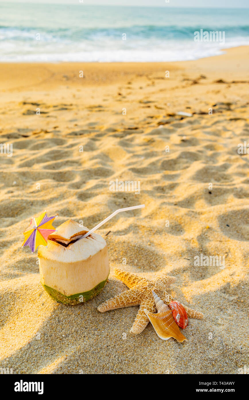 Coconut, seashell and Starfish at the tropical beach Stock Photo - Alamy
