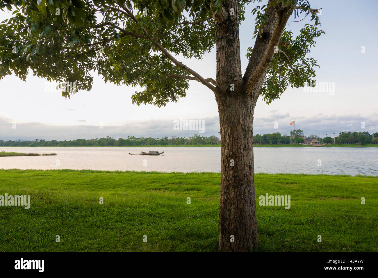 Tree and river Stock Photo - Alamy