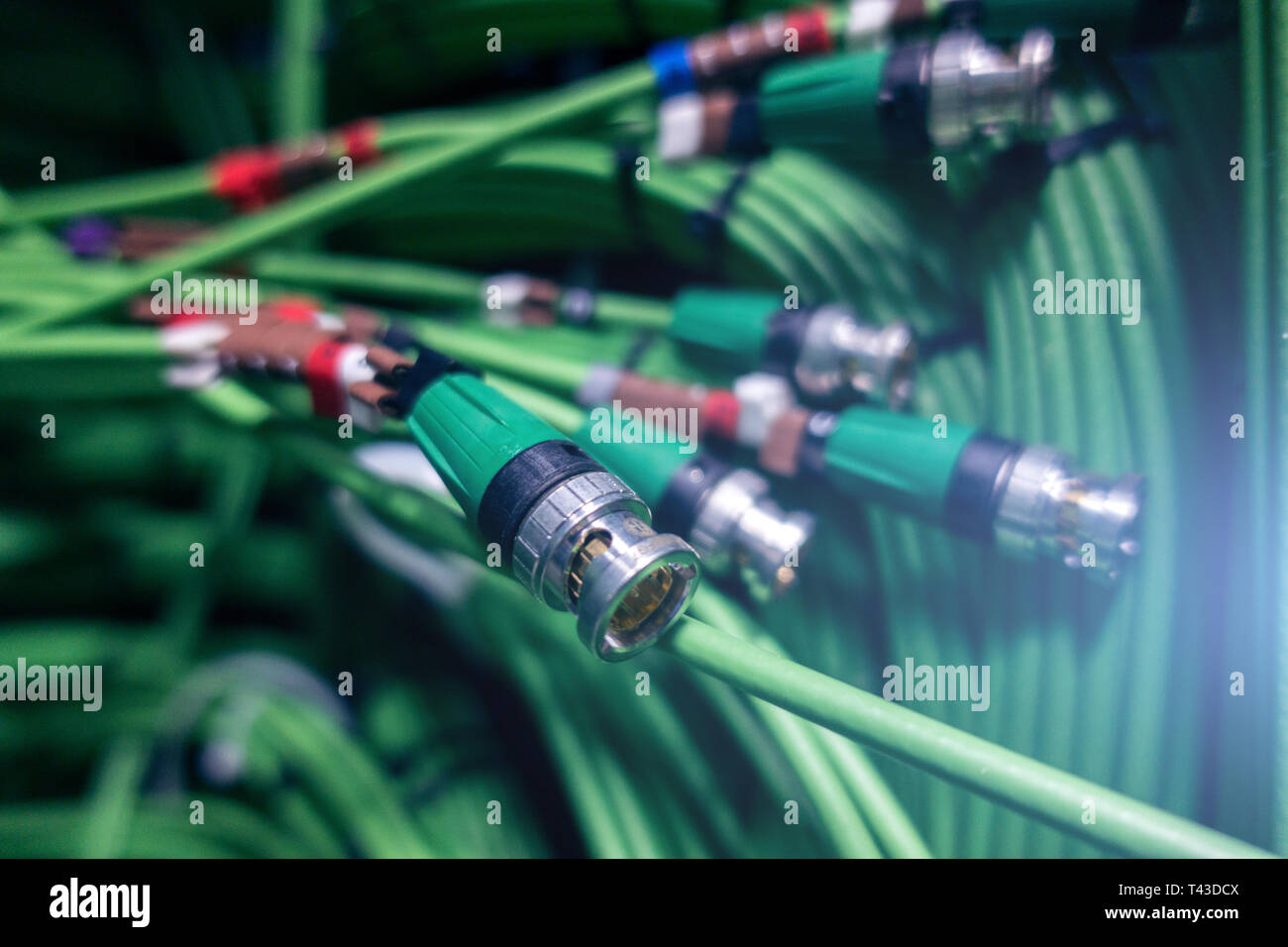 Acoustic audio cable server. Green audio cable. Many acoustic cables ...