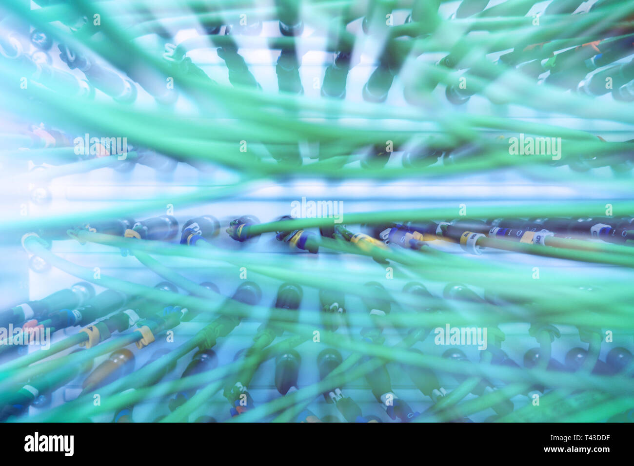 Acoustic audio cable server. Green audio cable. Many acoustic cables ...