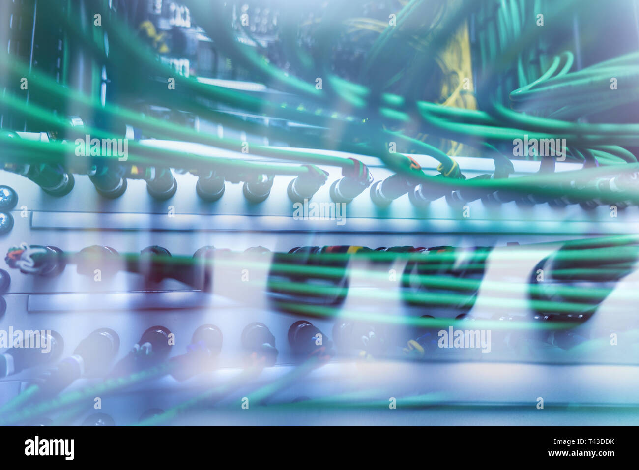 Acoustic audio cable server. Green audio cable. Many acoustic cables ...