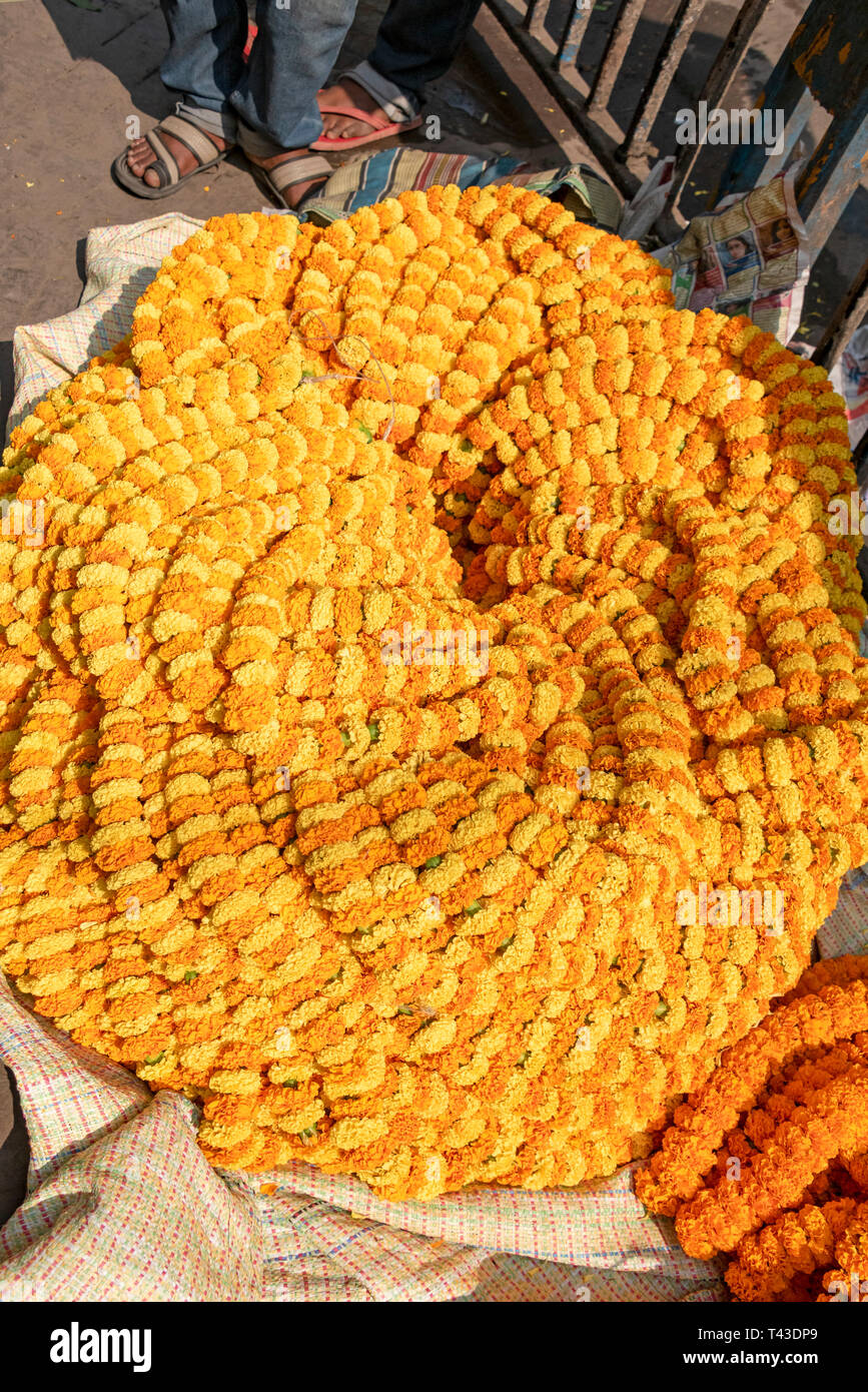 Vertical close up of marigold garlands at Mullik Ghat flower market in ...