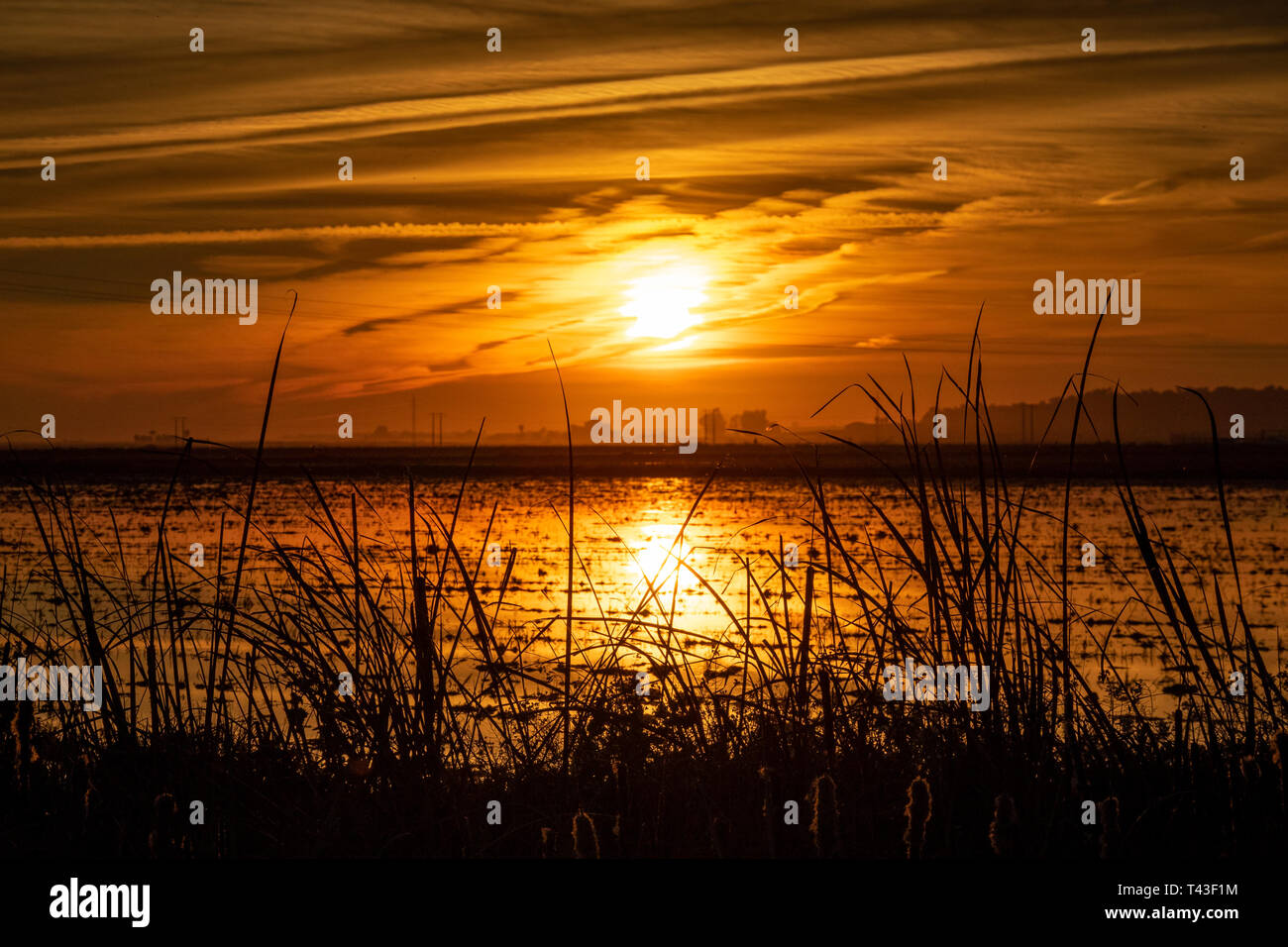 Crop contrast hi-res stock photography and images - Alamy