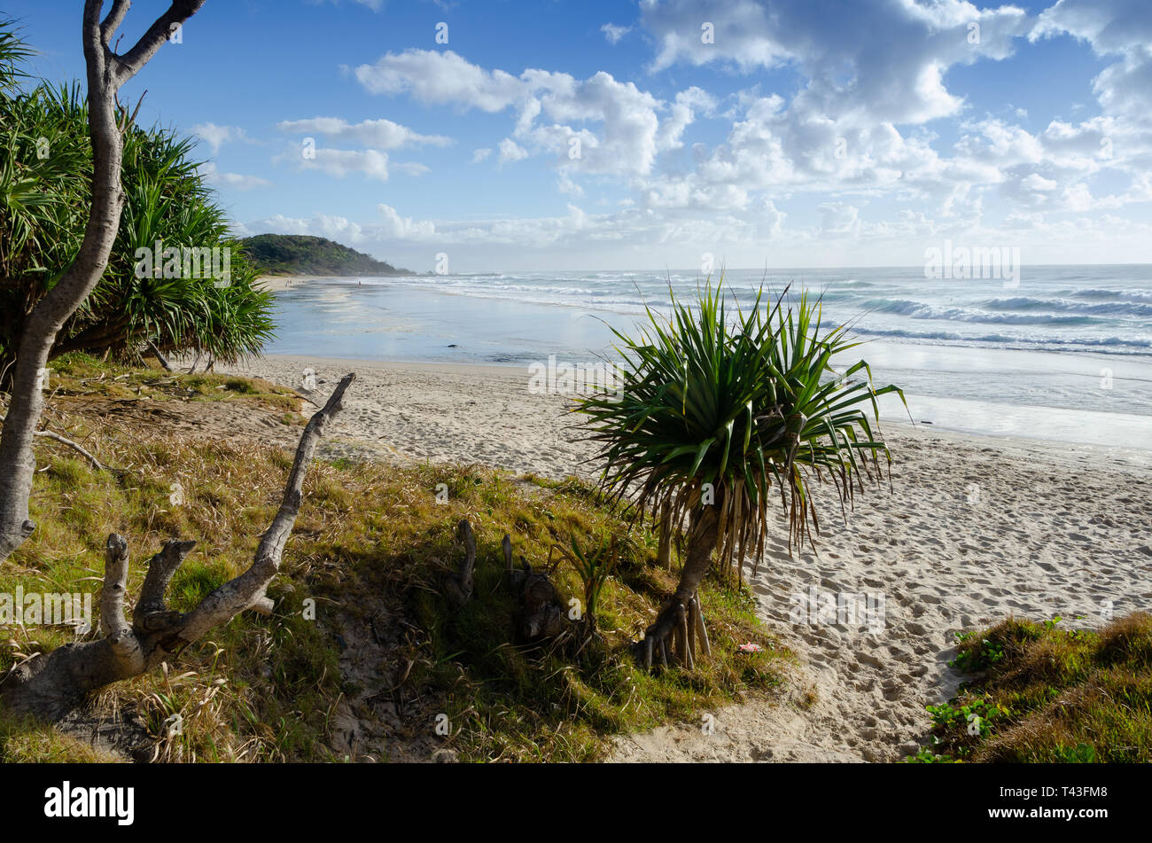 Ballina new south wales hi-res stock photography and images - Alamy