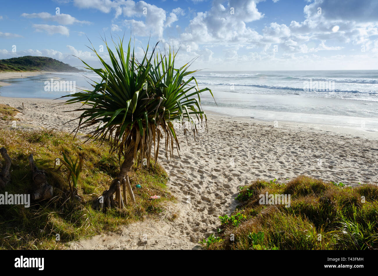 Shelly Beach, Ballina, New South Wales, Australia Stock Photo - Alamy