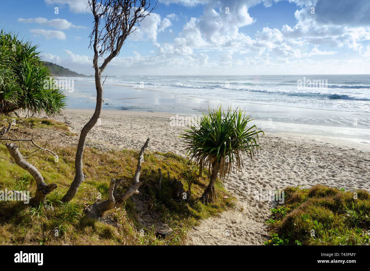 Ballina New South Wales High Resolution Stock Photography and Images ...