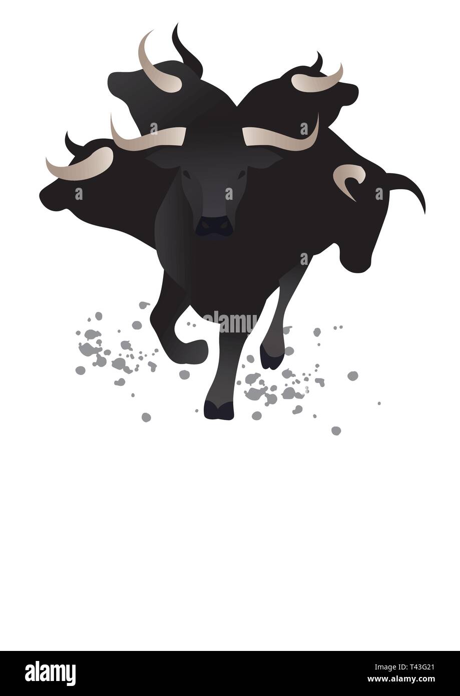 Bull in front and bull heads around, isolated on white background ...