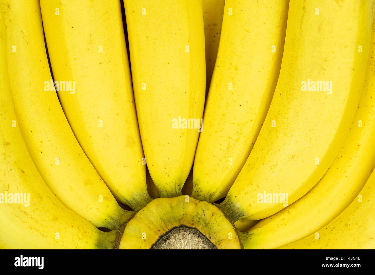 Fresh banana hi-res stock photography and images - Alamy