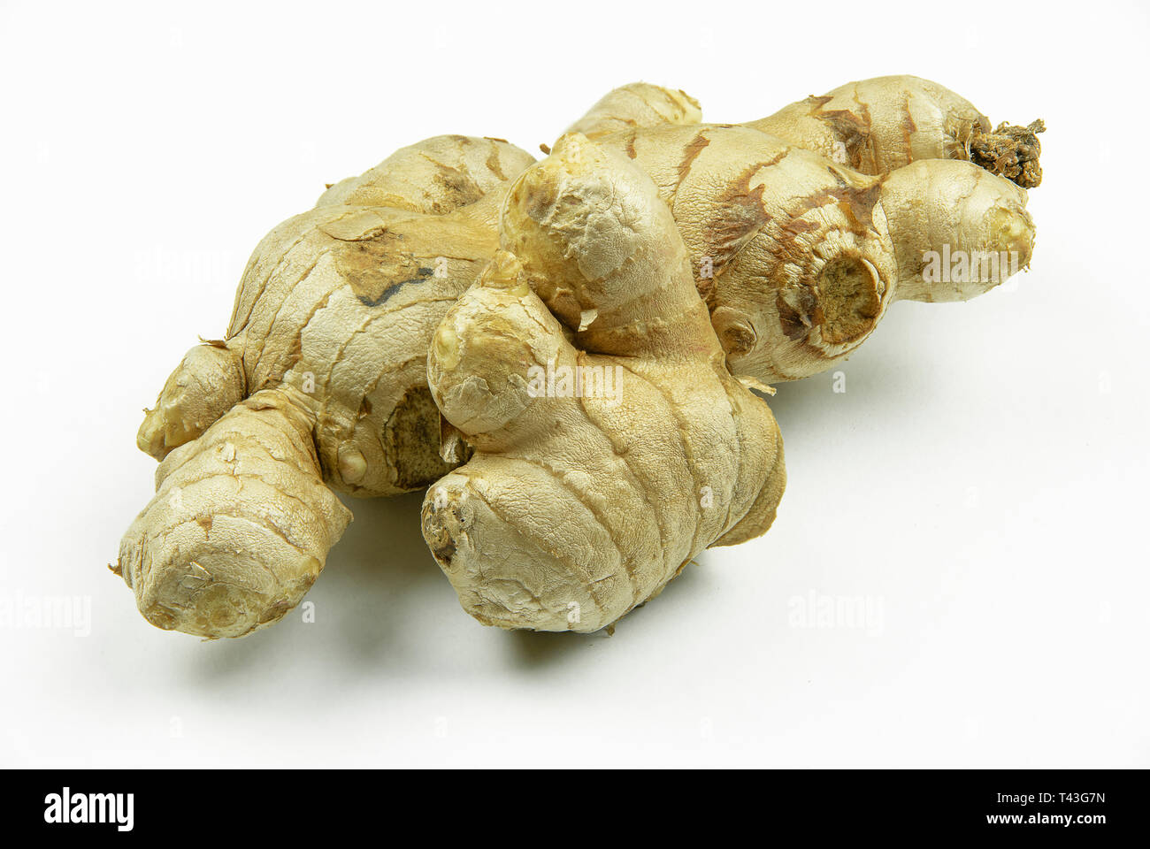 Adorable ginger orange white Cut Out Stock Images & Pictures - Alamy