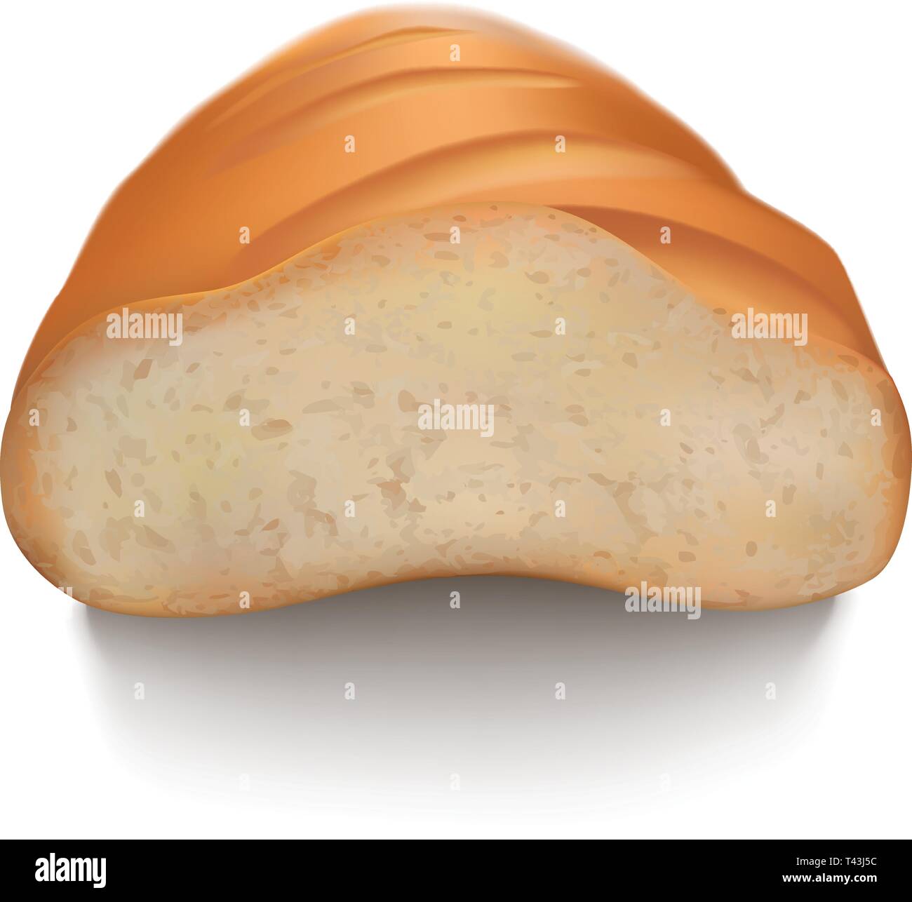 Top view on sliced Stock Vector Images - Alamy