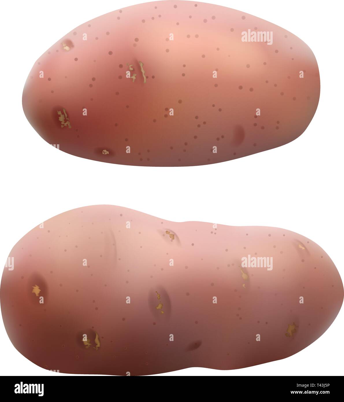 Whole potatoes Stock Vector Images - Alamy