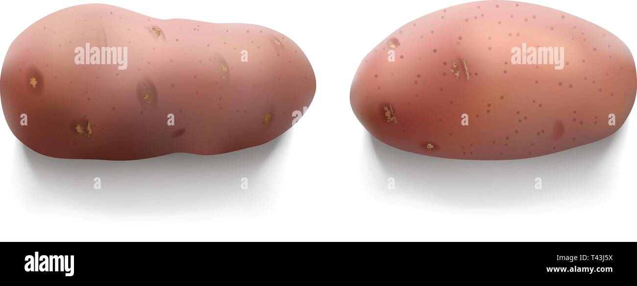 Shadows brown Stock Vector Images - Alamy