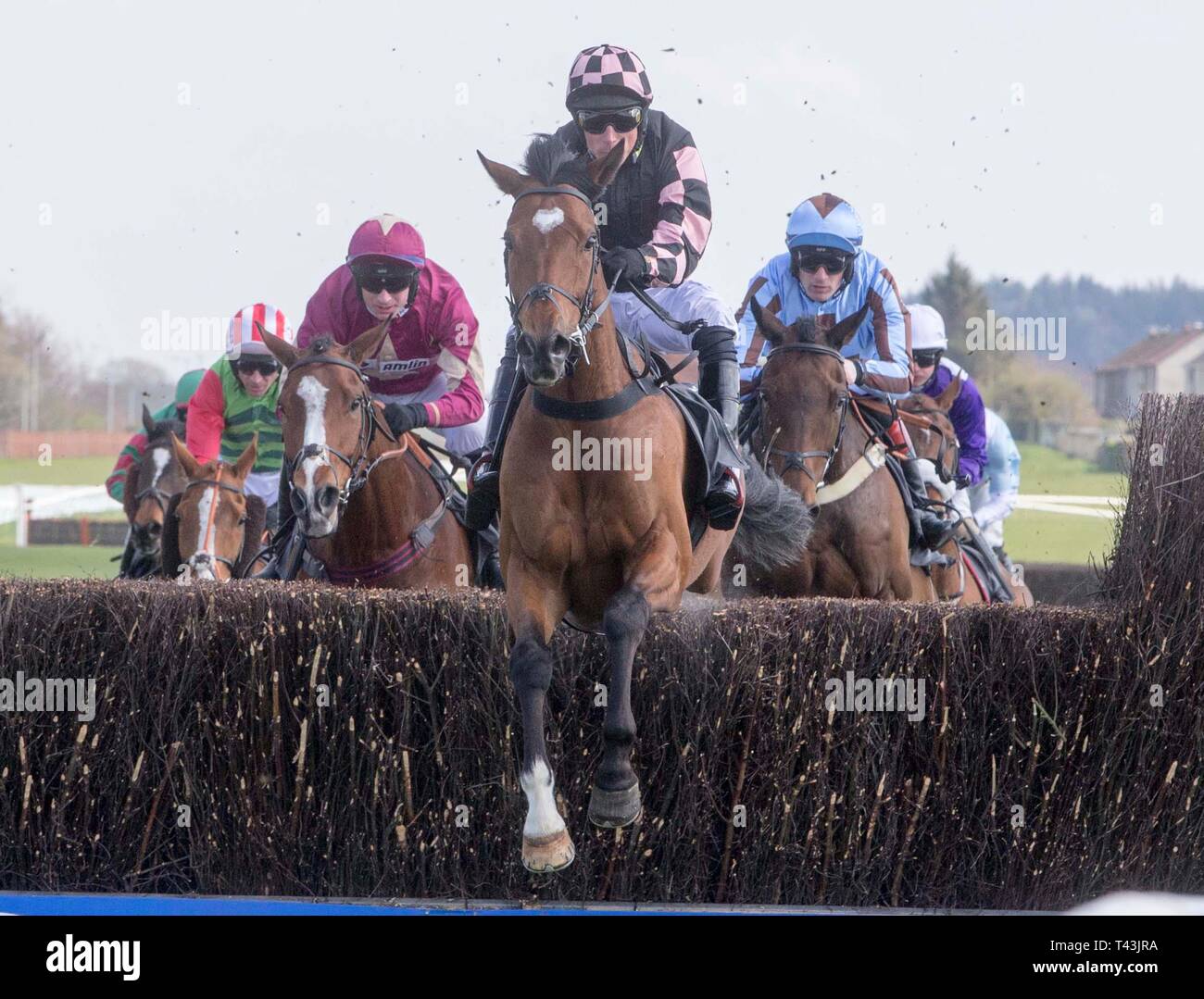 Azzuri hi-res stock photography and images - Alamy