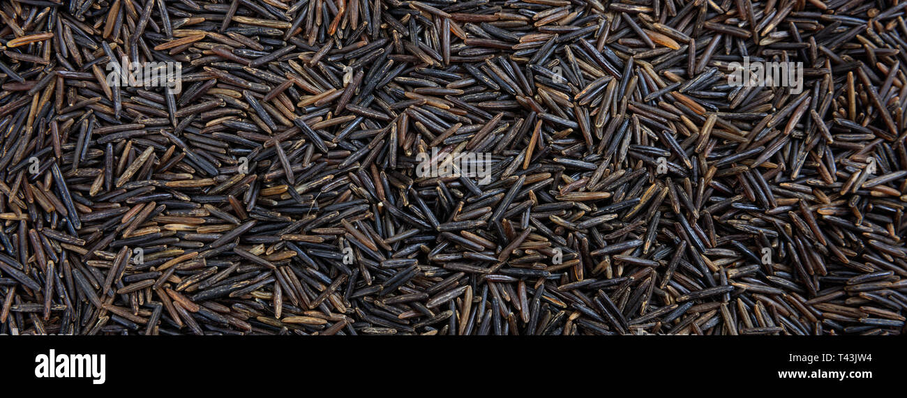 Black wild rice seeds full frame background, banner. Close up top view ...