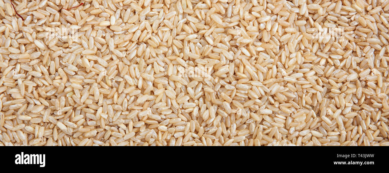 Raw millet dry seeds full frame background, banner. Close up top view ...