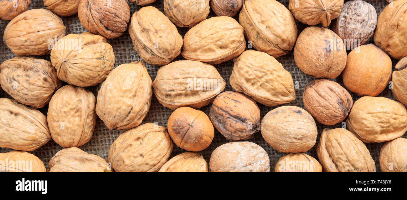 Walnuts whole with shells background, texture. Closeup view, banner ...