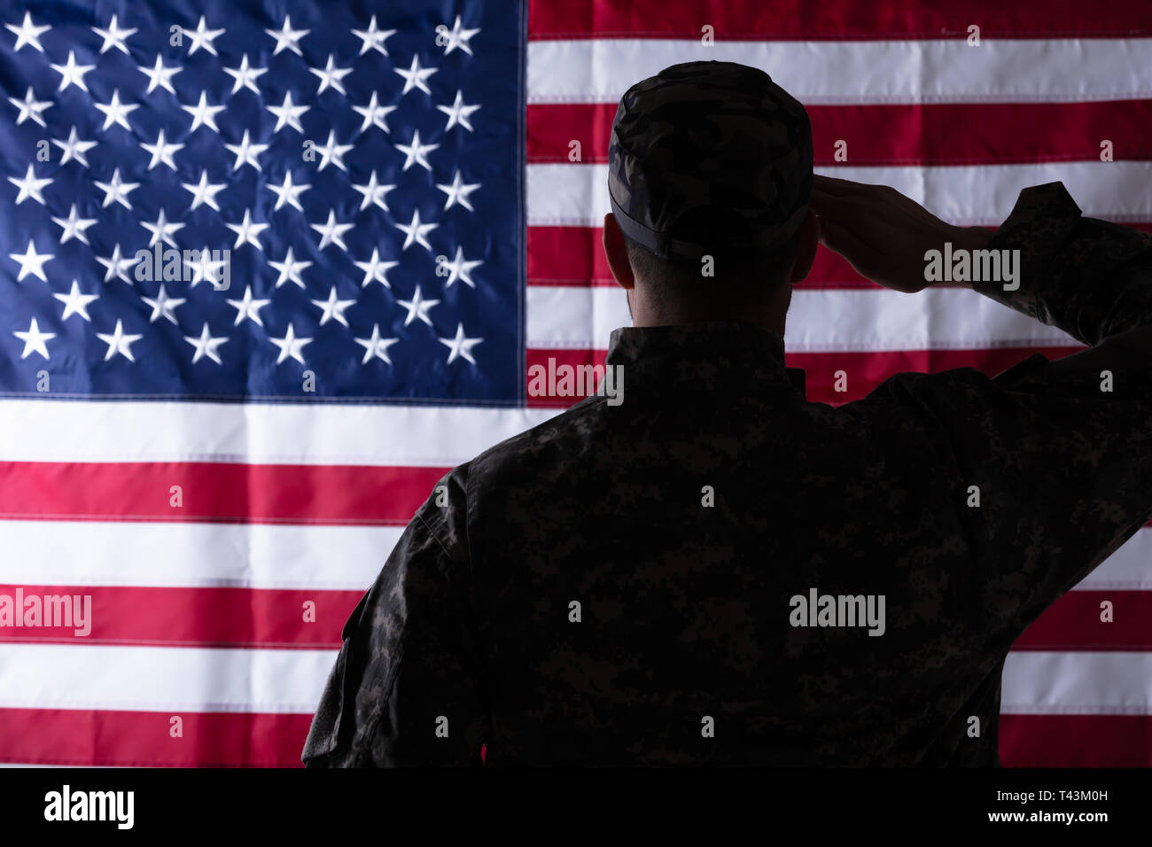 Rear View Of Military Man Saluting Us Flag Stock Photo - Alamy