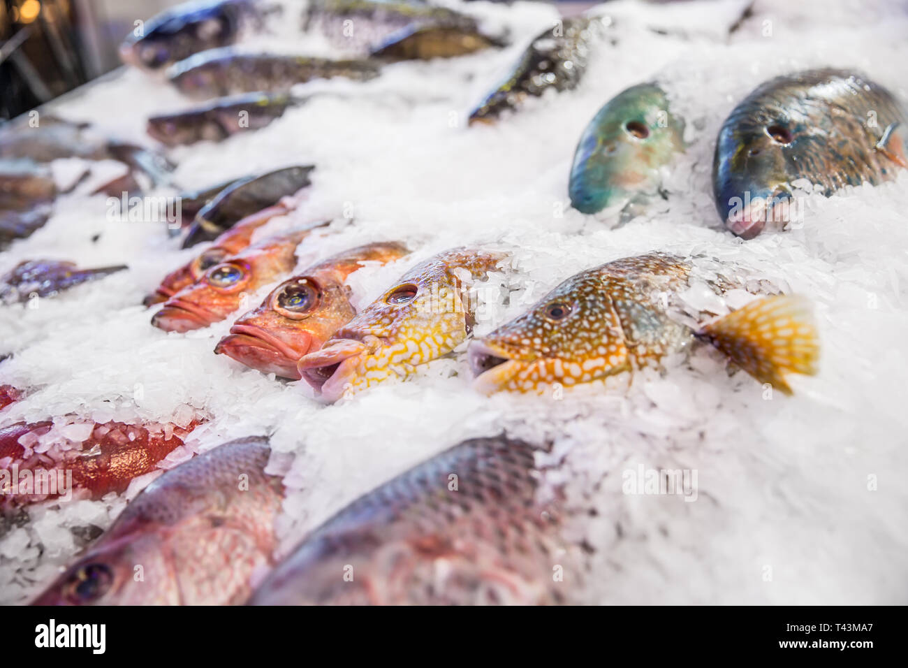 Sea fish on ice in seafood market Stock Photo - Alamy