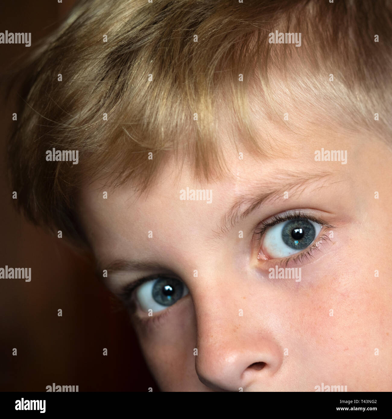 Boy european blond eyes blue hi-res stock photography and images - Alamy