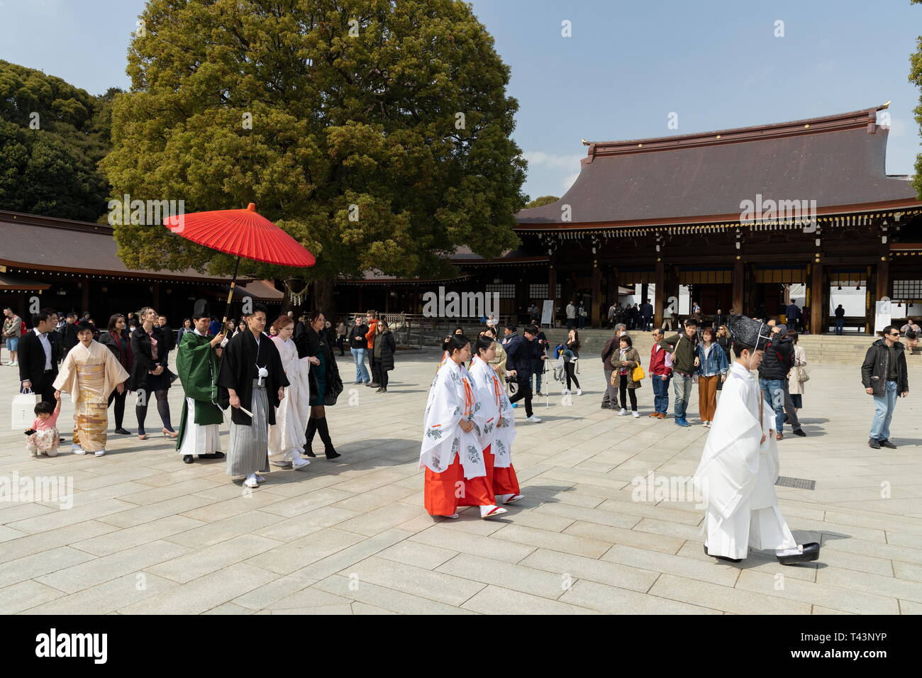 A wedding ceremony at Meiji Jingu shrine in Tokyo, Japan on March 25 ...