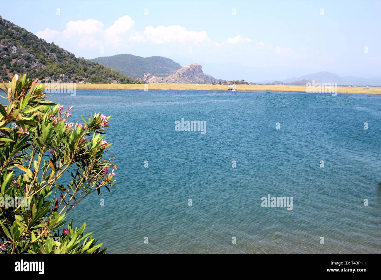 Koycegiz Lake in Mugla, Dalyan, Turkey Stock Photo - Alamy