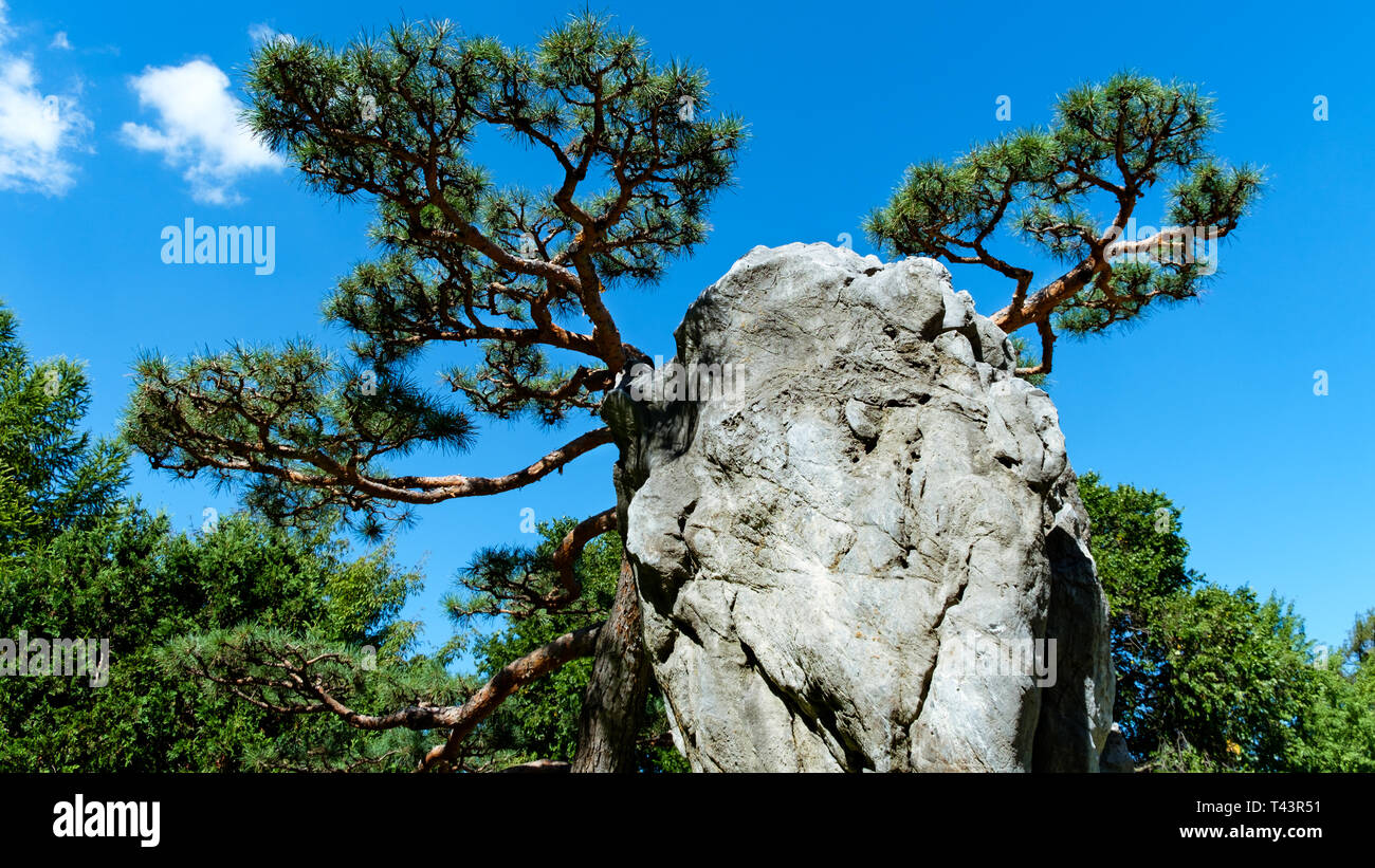 Coming to park street hi-res stock photography and images - Alamy