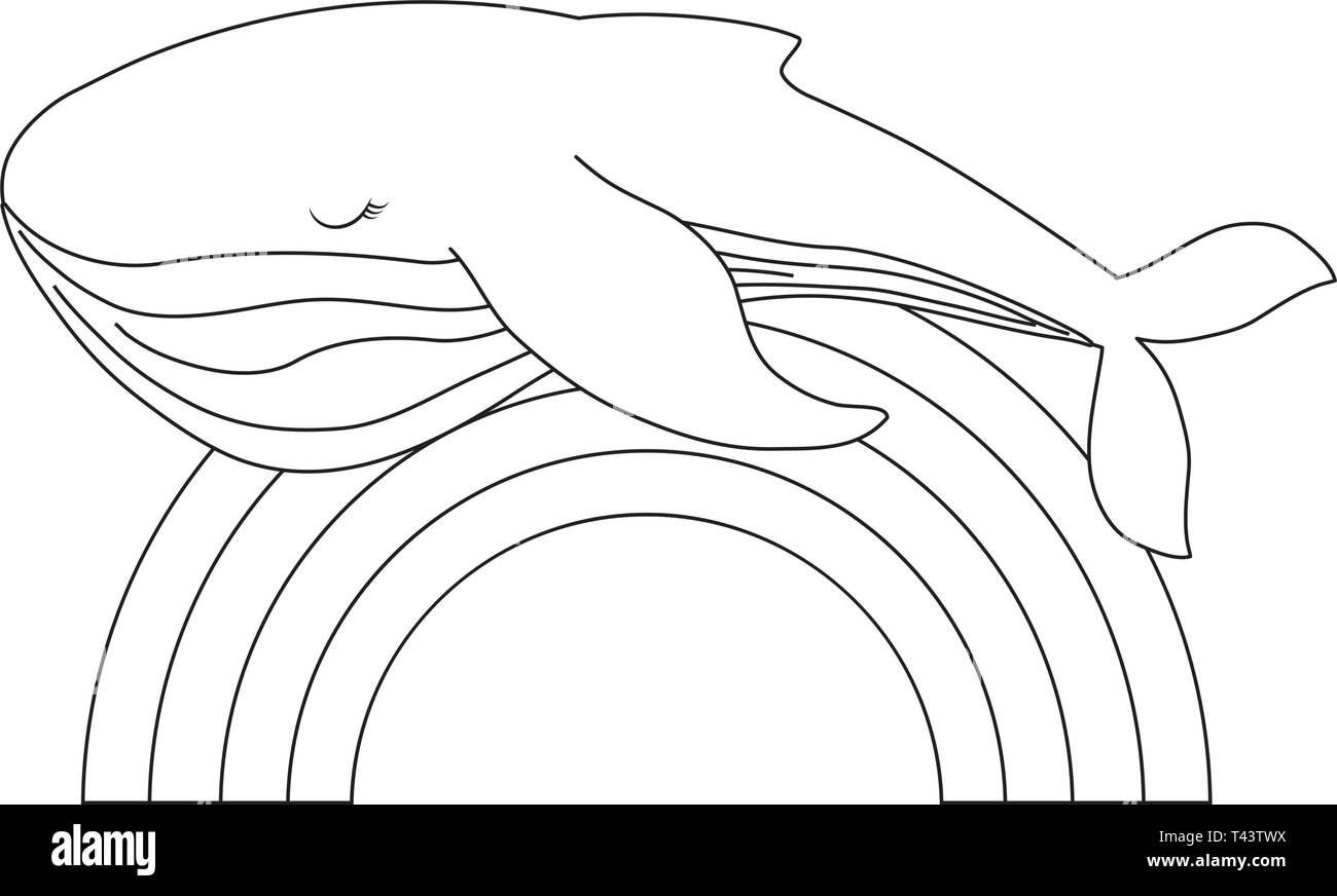 cute whale with rainbow vector illustration design Stock Vector Image ...